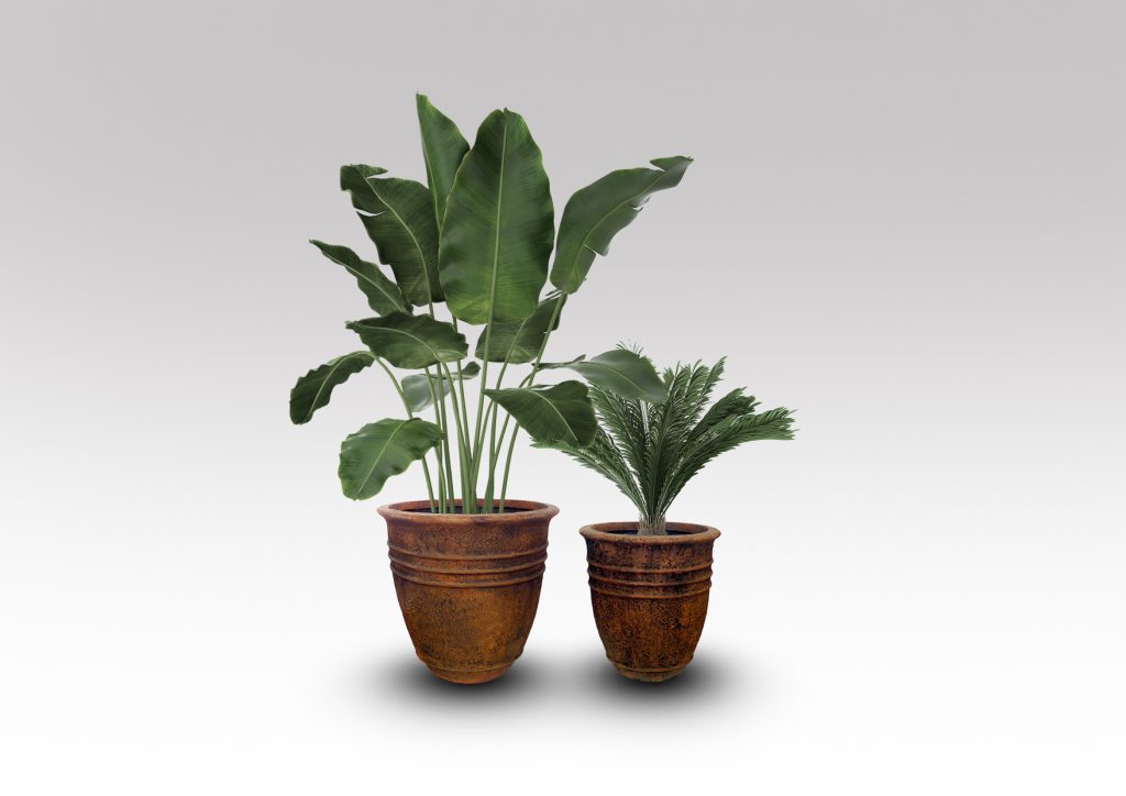 Lotus planters – GDR ASIA